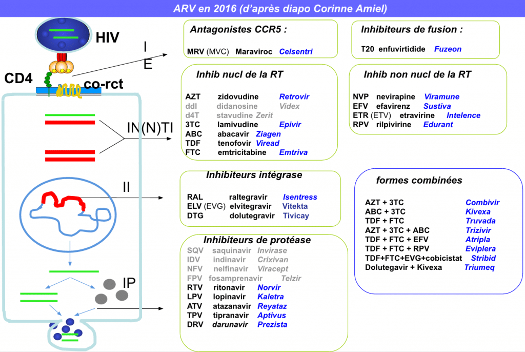 Rapport Morlat 2016: Des nouveautés dans la prise en charge des ...
