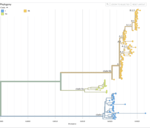 Mpox en République démocratique du Congo : d’une maladie tropicale ...